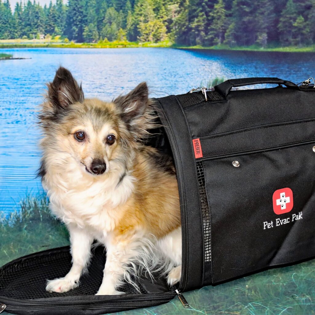 Emergency Dog Kits – Pet Evac Pak