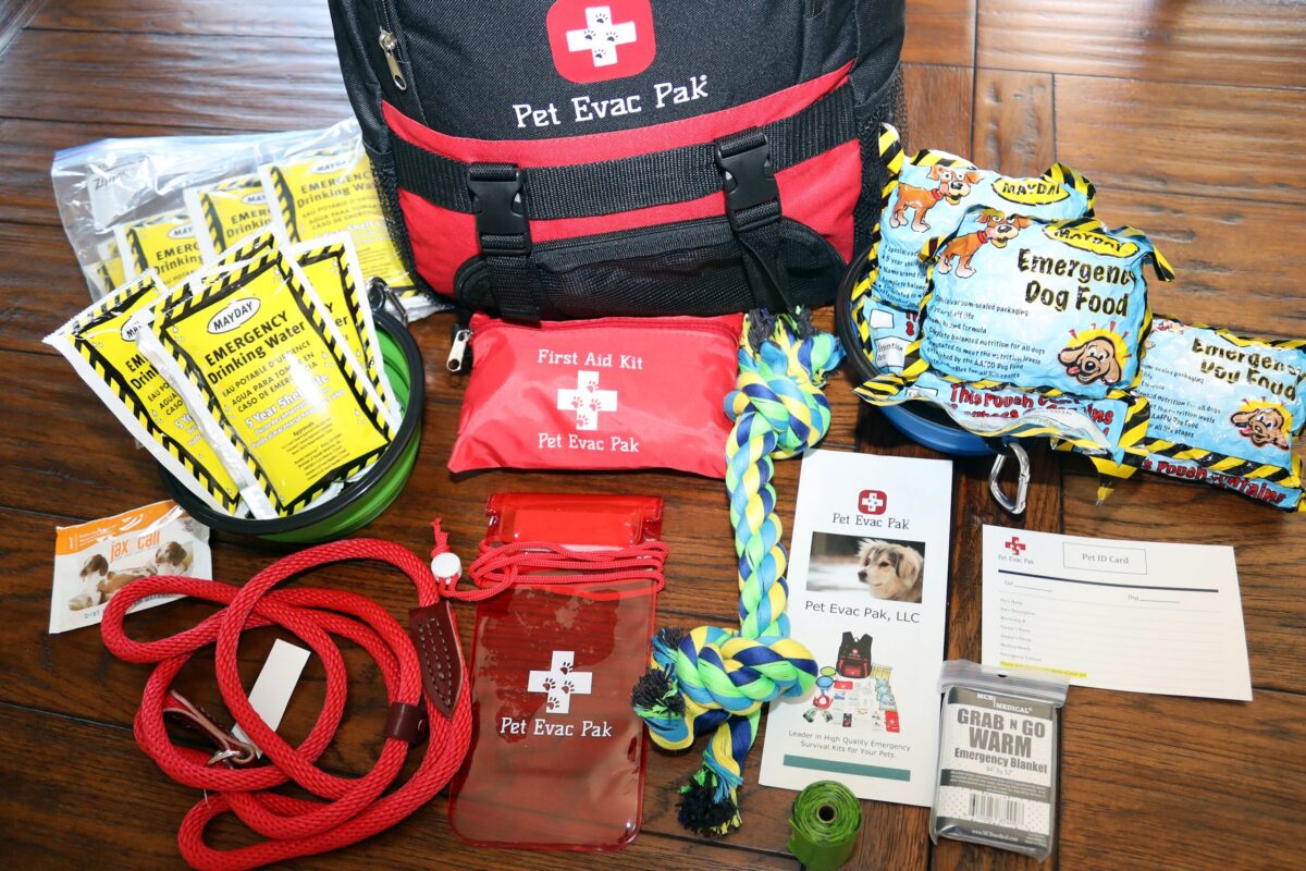 What should be in a pet emergency kit? - Pet Evac Pak