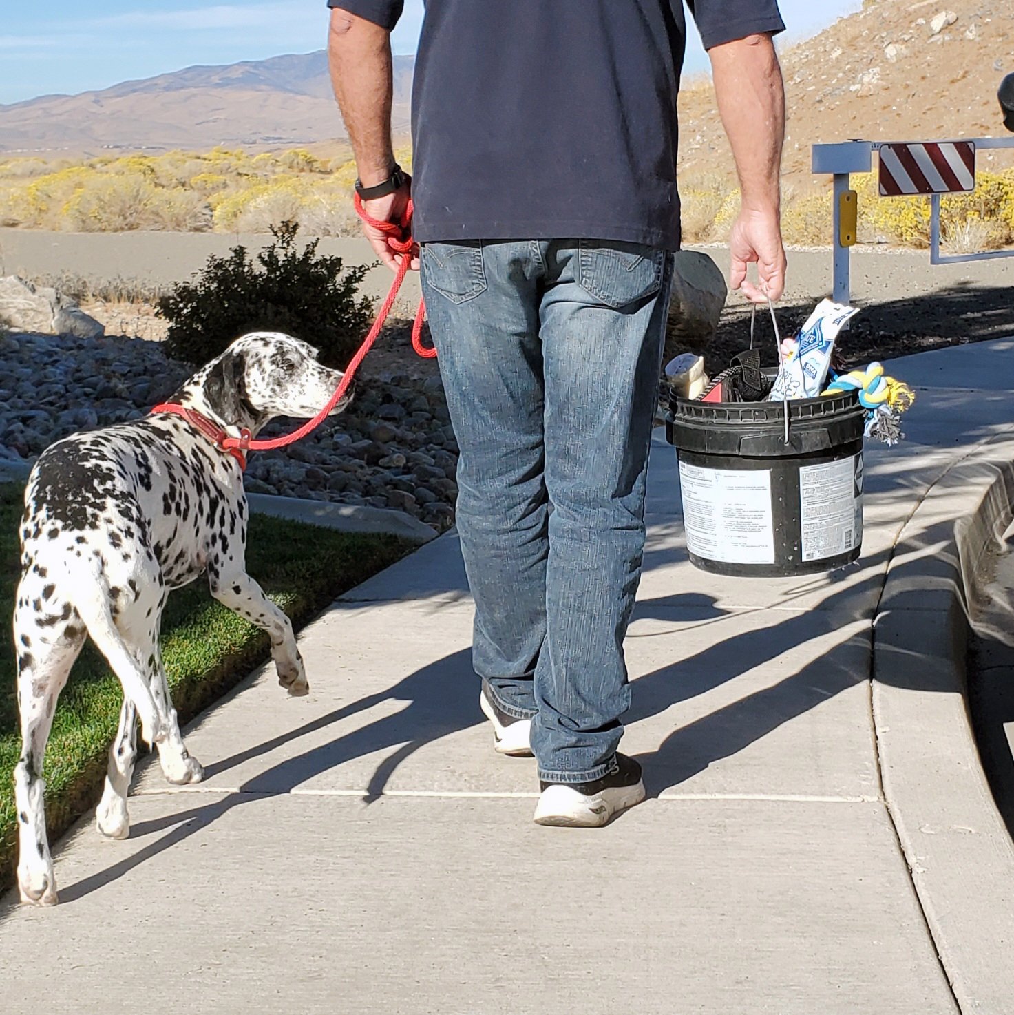 Which container should I use for my pet’s go-bag? – Pet Evac Pak