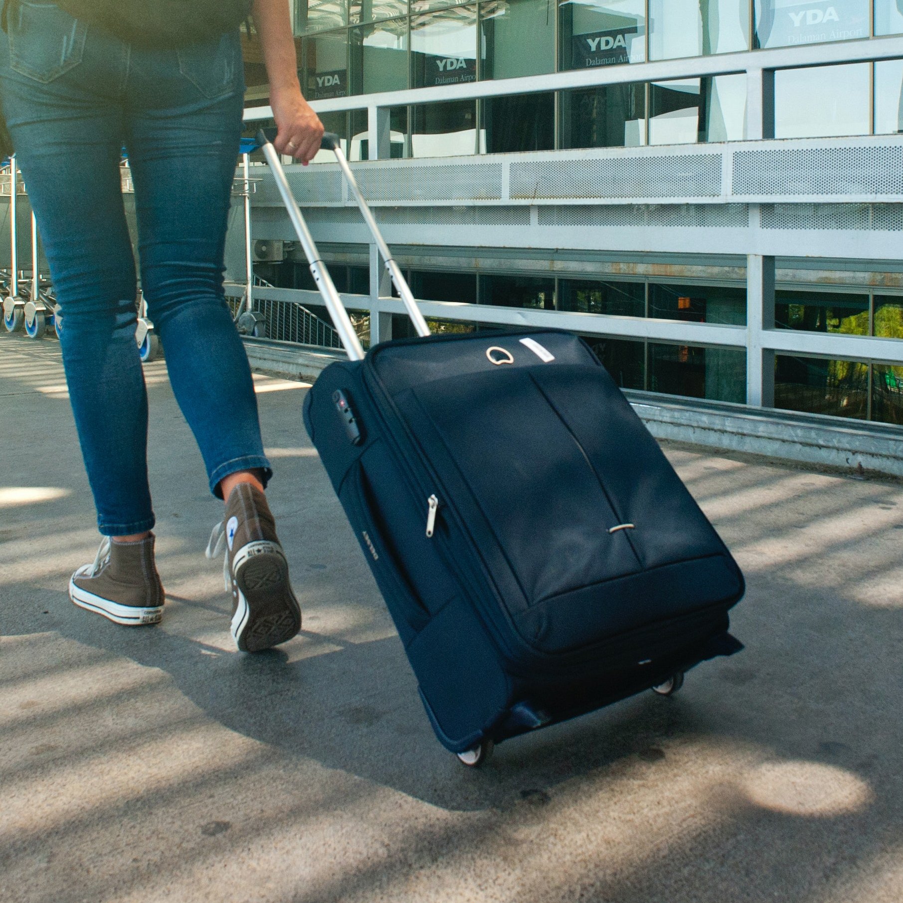 Which container should I use for my pet's go-bag? - Pet Evac Pak