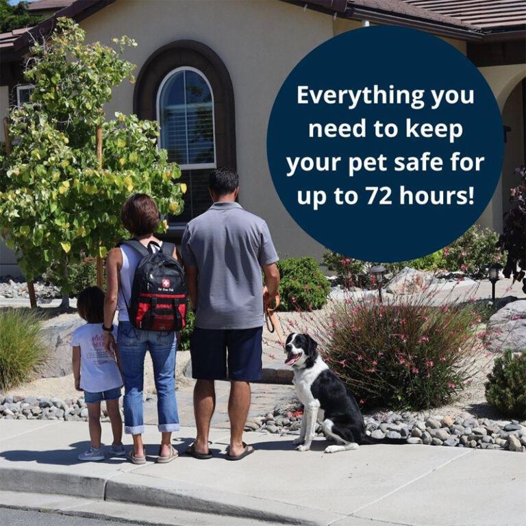 Dog Emergency Kit - Big Dog - Pet Evac Pak