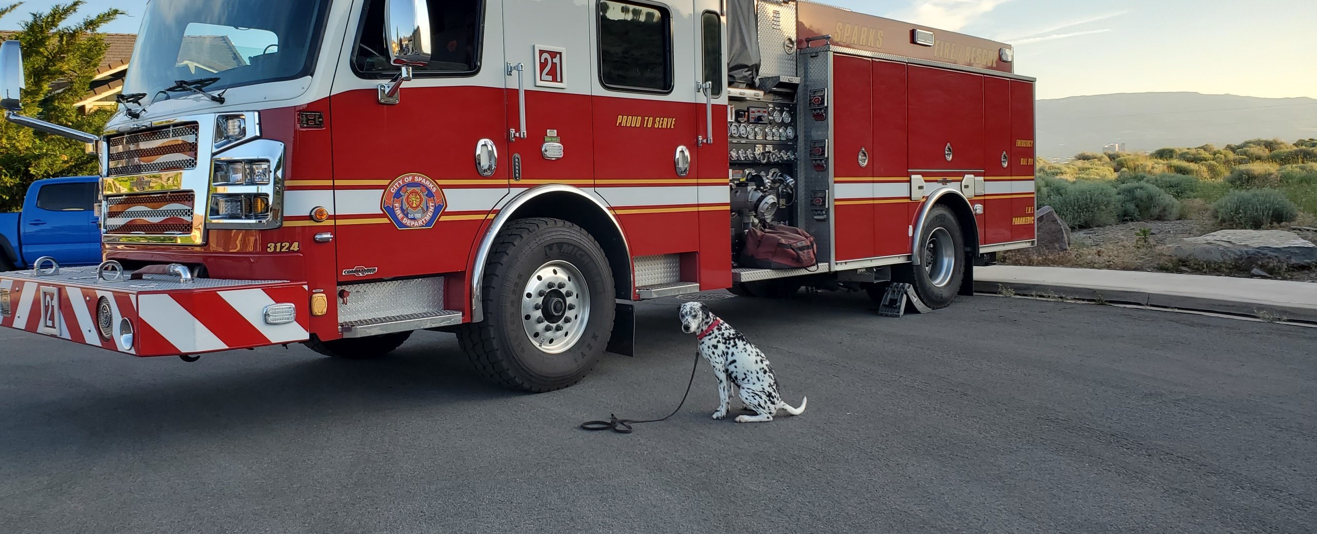 About - Pet Evac Pak